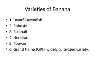 Banana_Cultivation_PPT.pptx..................... | PPTX