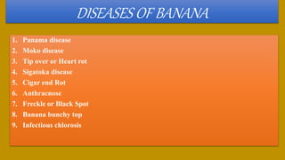 BANANA DISEASE PPT.pptx