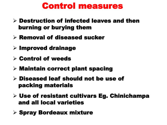 Banana_disease_Lec-1.ppt.plant,,,pathology | PPT