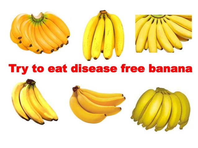 Banana_disease_Lec-1.ppt.plant,,,pathology | PPT