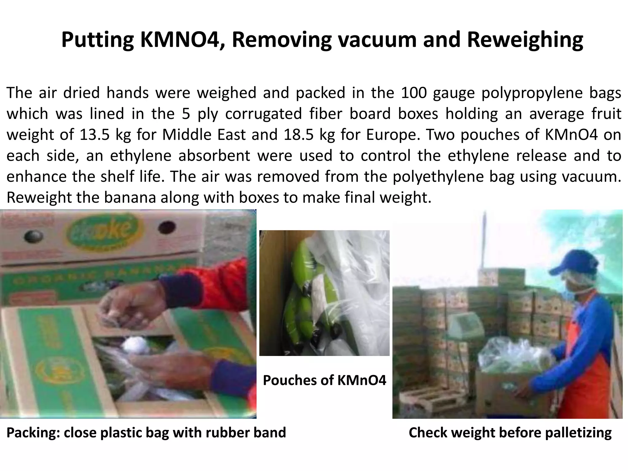 Banana Exports Packing Procedure | PPTX