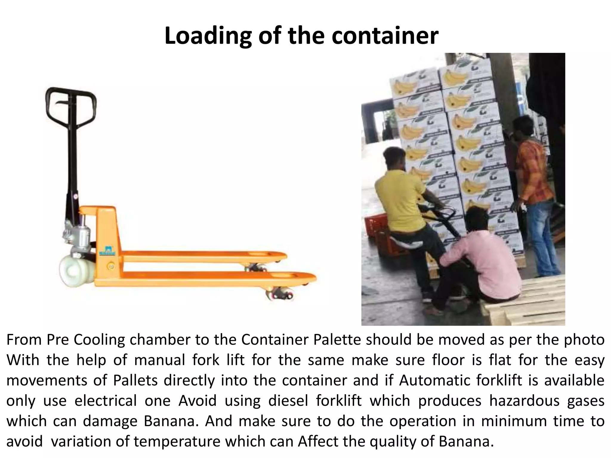 Banana Exports Packing Procedure | PPTX