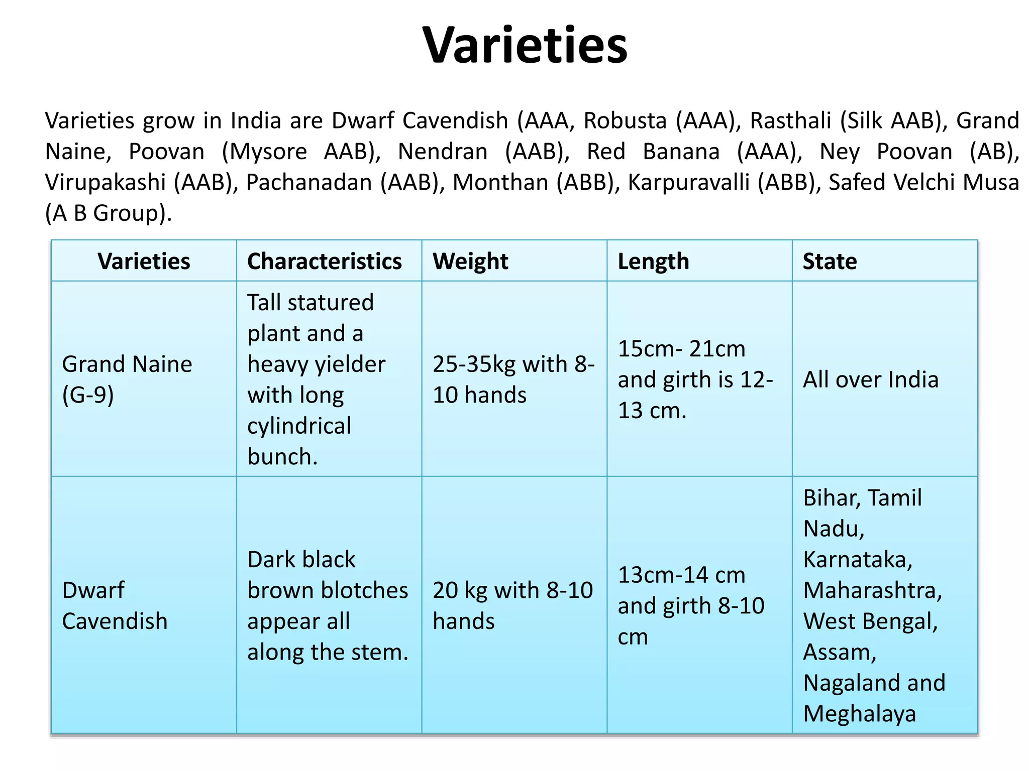 Banana Exports Packing Procedure | PPTX