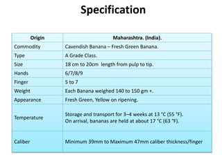 Banana Exports Packing Procedure | PPTX