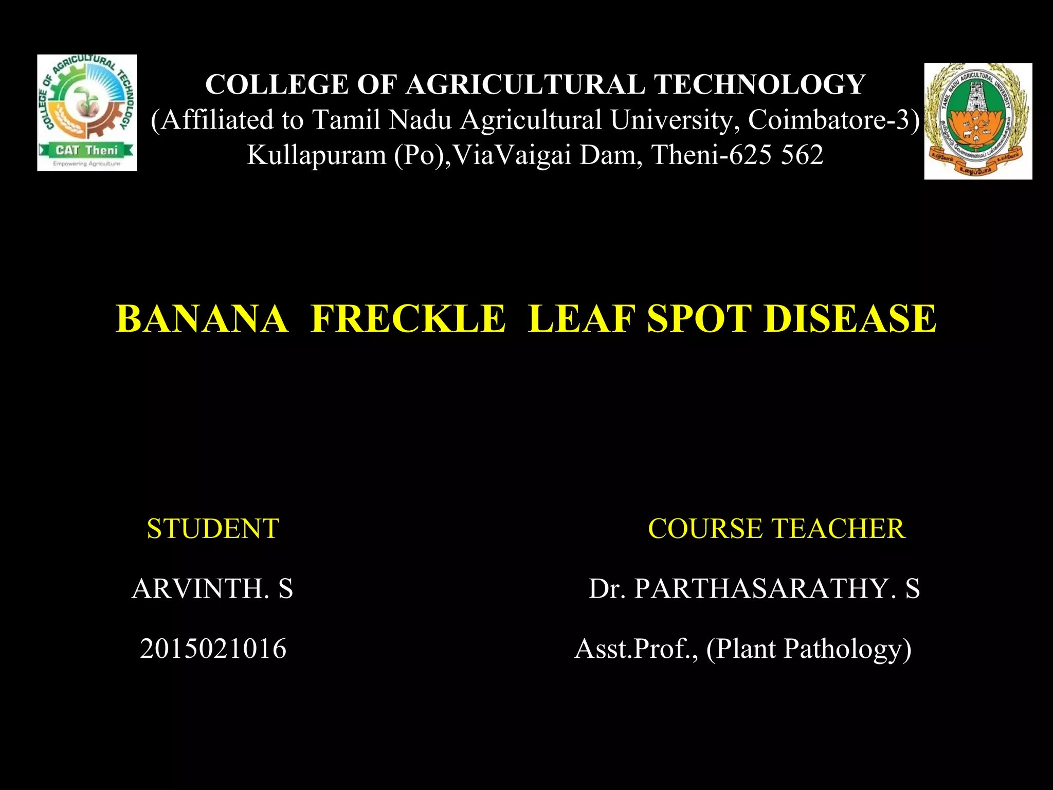 Banana freckle leaf spot disease | PPT
