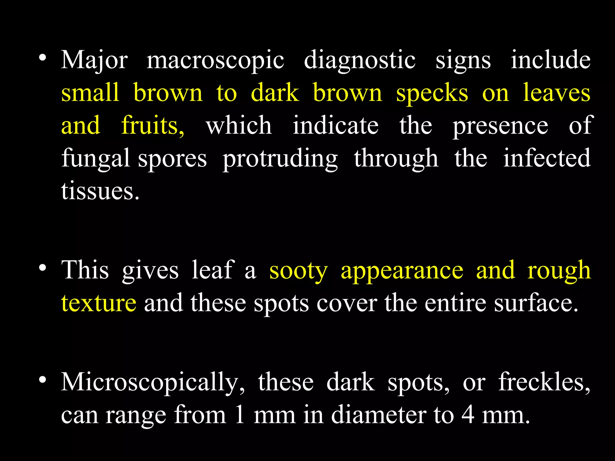 Banana freckle leaf spot disease | PPT