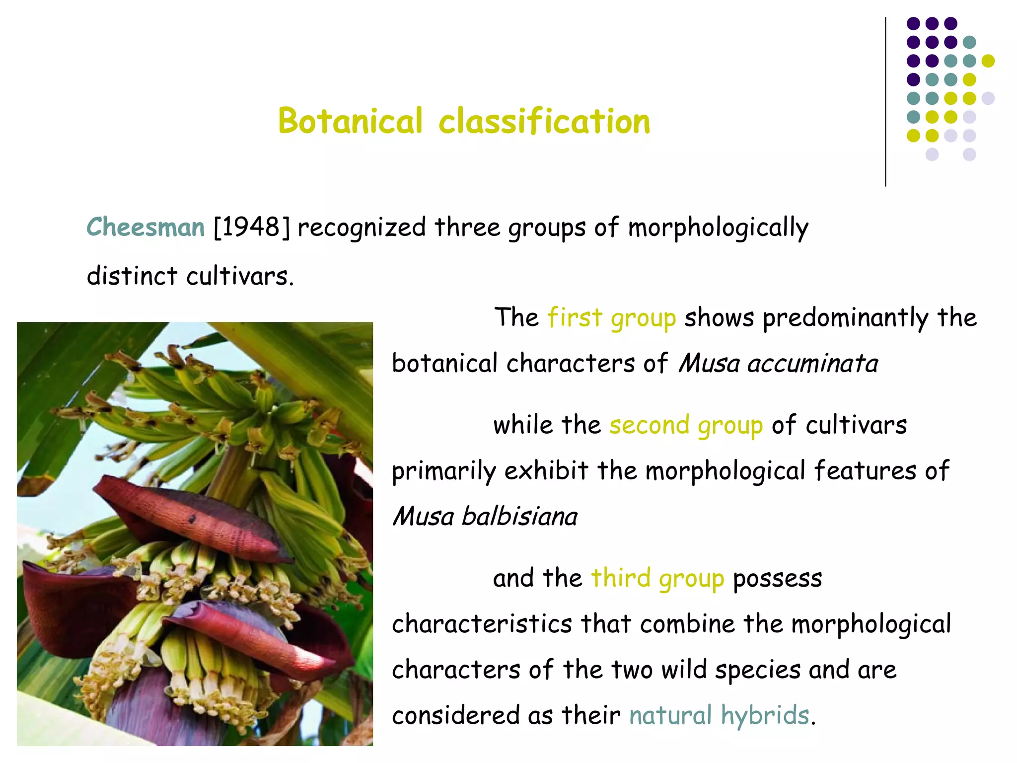 Banana genomic classification | PPT