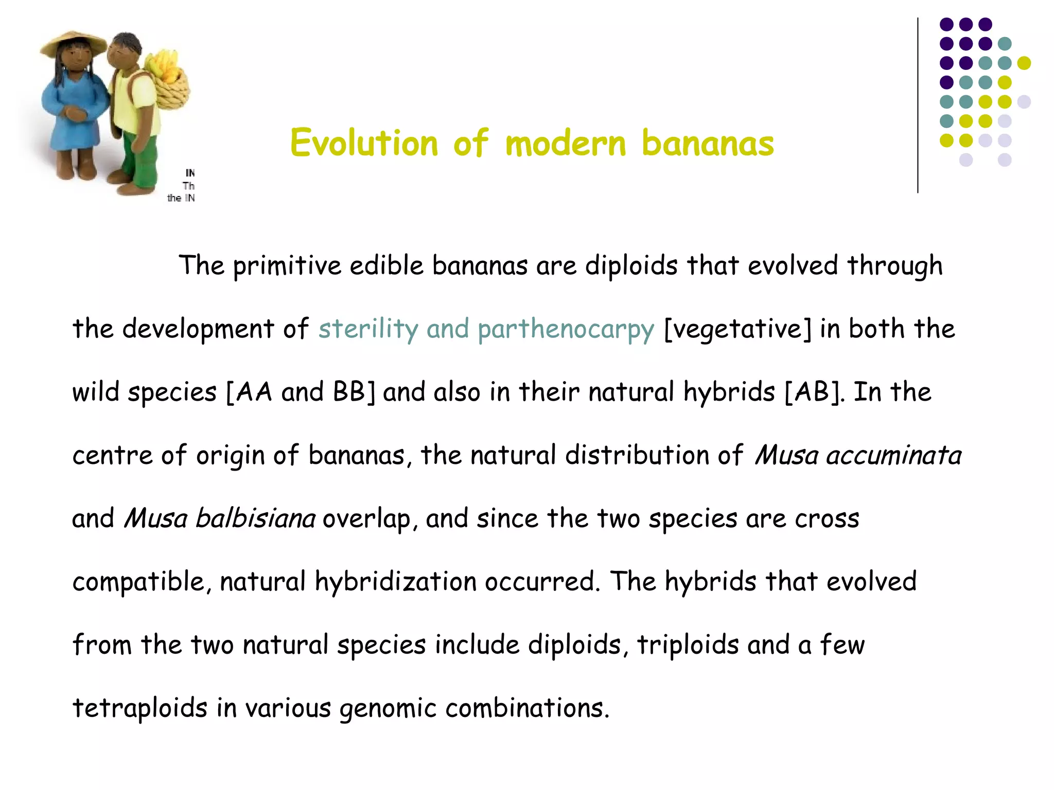 Banana genomic classification | PPT