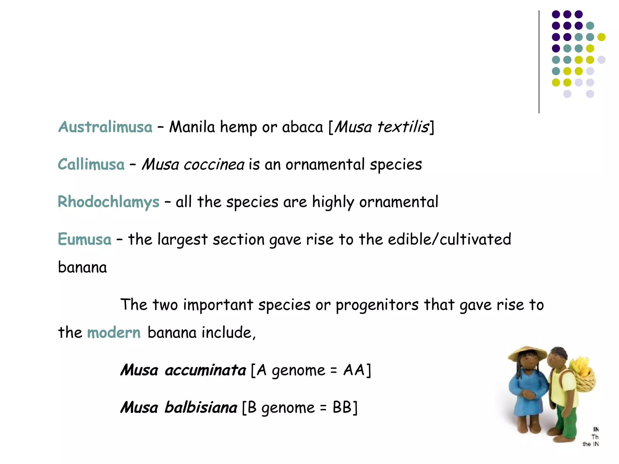 Banana genomic classification | PPT