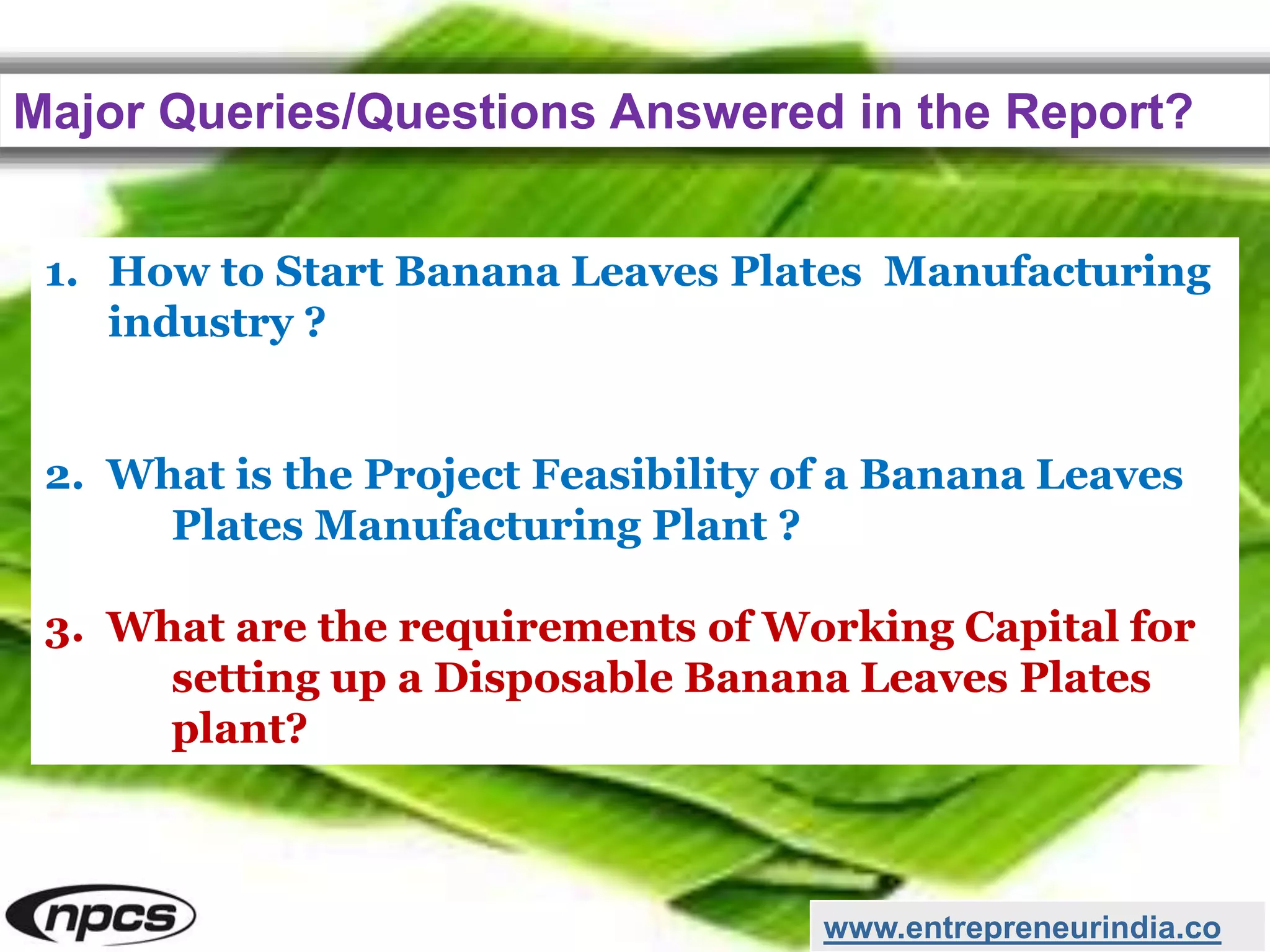 Banana Leaf Plate Manufacturing: The Making of By-Product of Banana ...