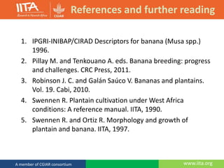 The Banana Plant: Morphology, Propagation and Breeding | PPTX
