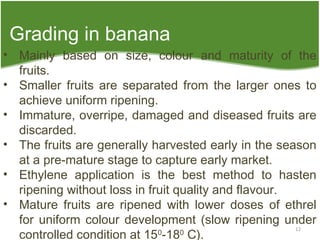 Postharvest Management of Banana | PPT