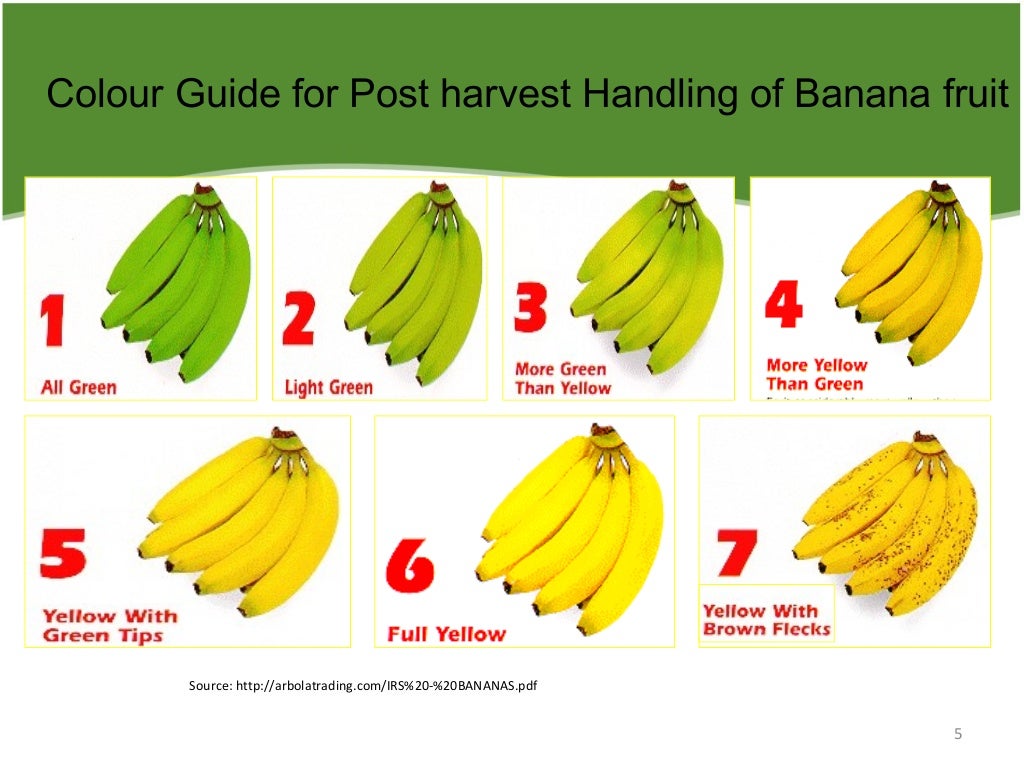 Postharvest Management Of Banana
