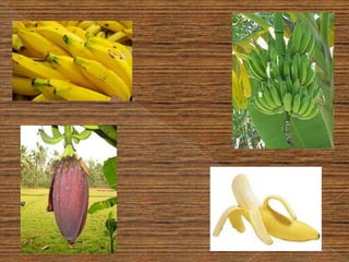 Banana Oral presentation - English | PPTX