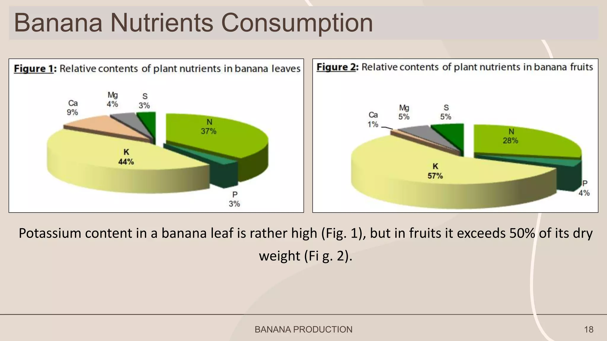 Banana Production Guide-GP Dean.pptx