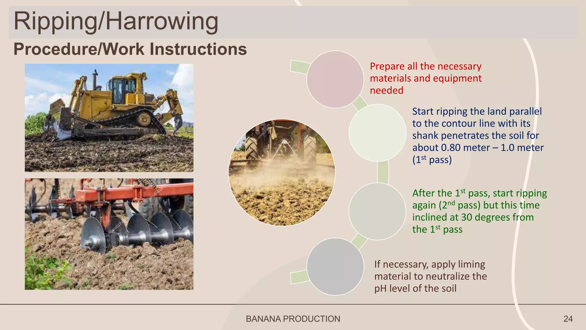 Banana Production Guide-GP Dean.pptx