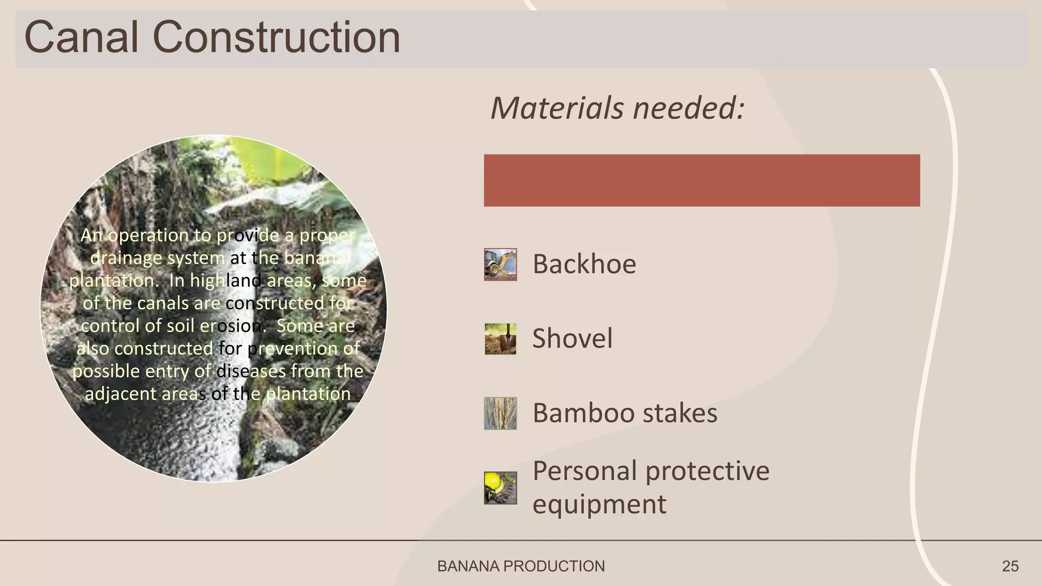Banana Production Guide-GP Dean.pptx