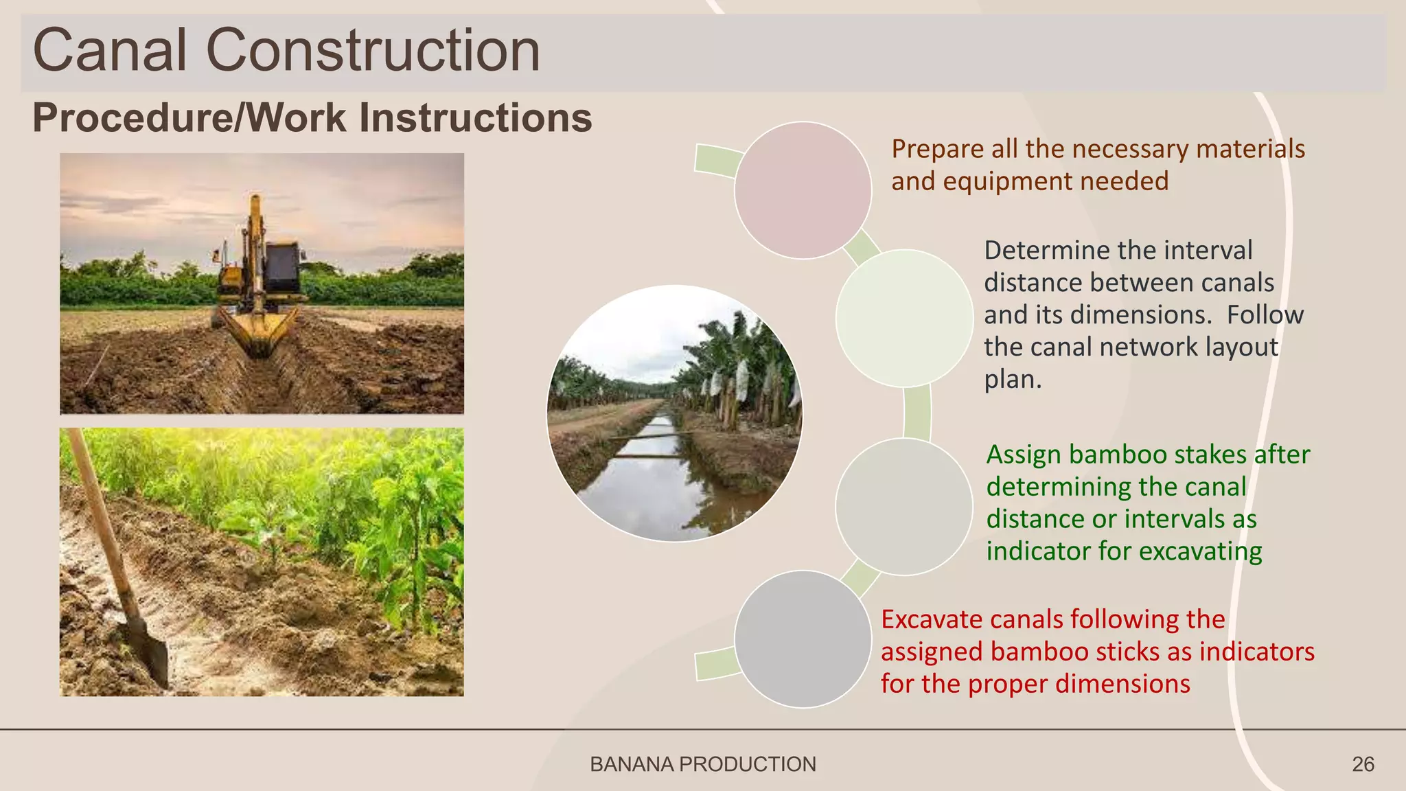 Banana Production Guide-GP Dean.pptx