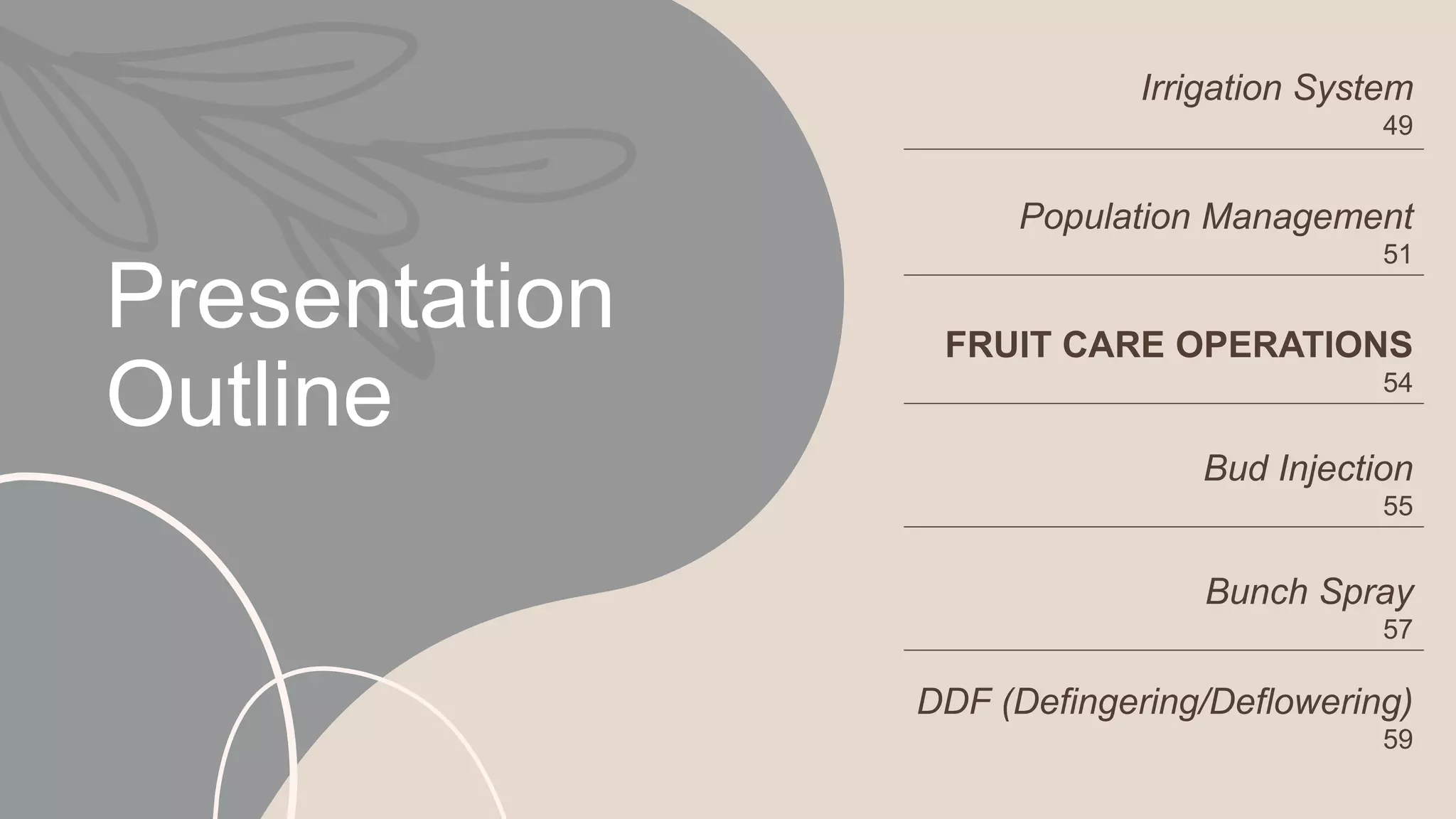 Banana Production Guide-GP Dean.pptx