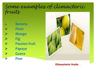 Banana ripening | PPTX