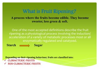 Banana ripening | PPT