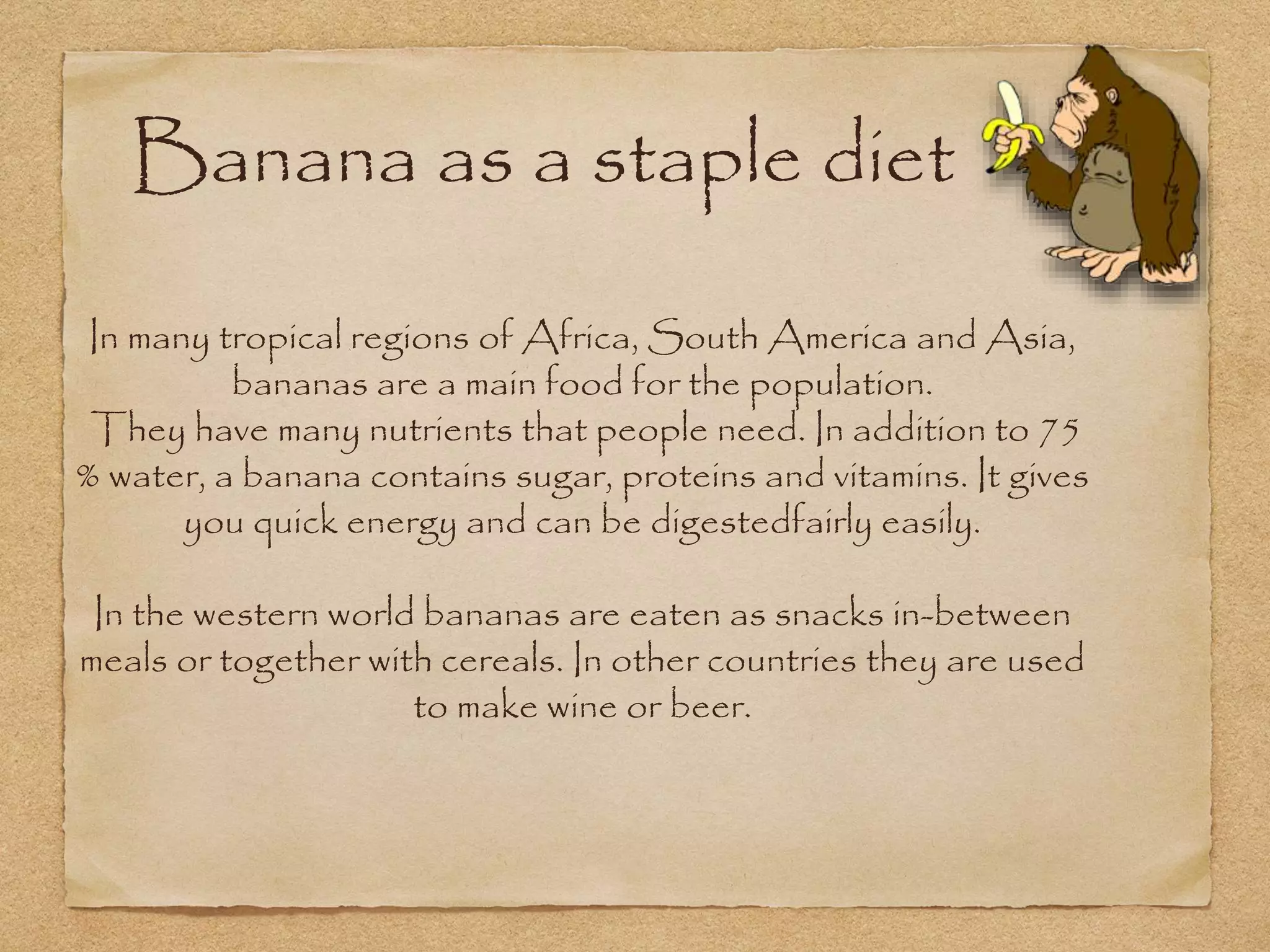 Bananas Presentation | PPTX