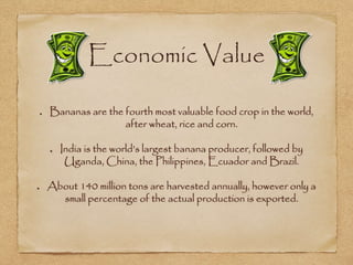 Bananas Presentation | PPTX