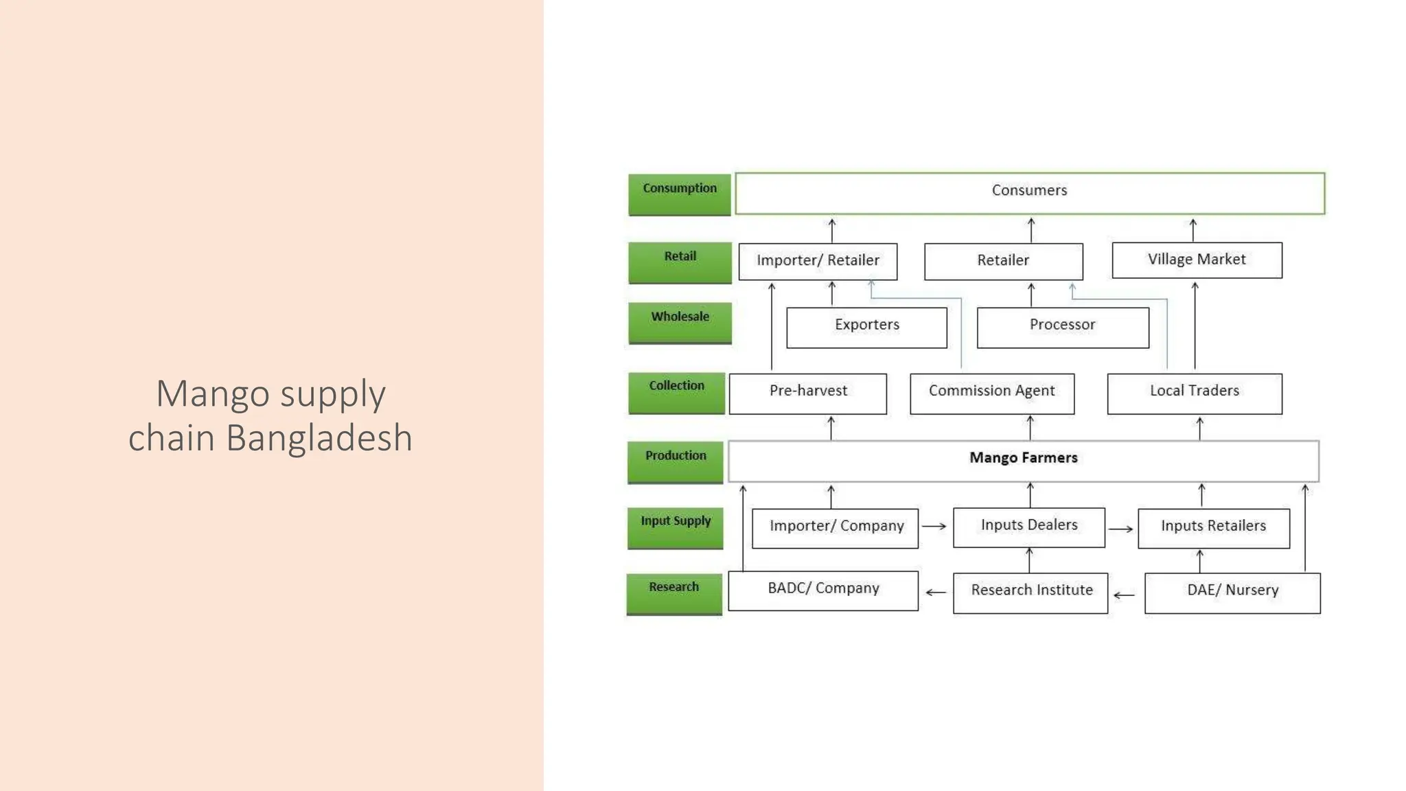 Banana supply chain analysis of banana and mango. | PPTX