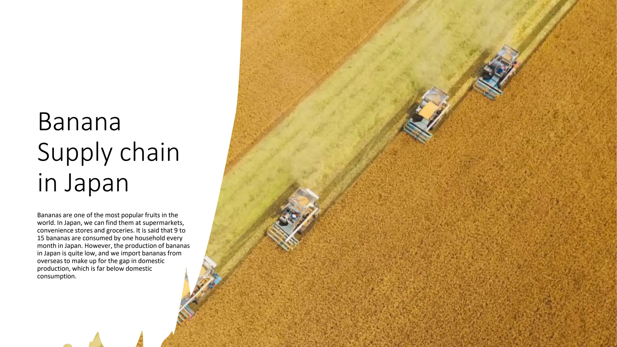 Banana supply chain analysis of banana and mango. | PPTX