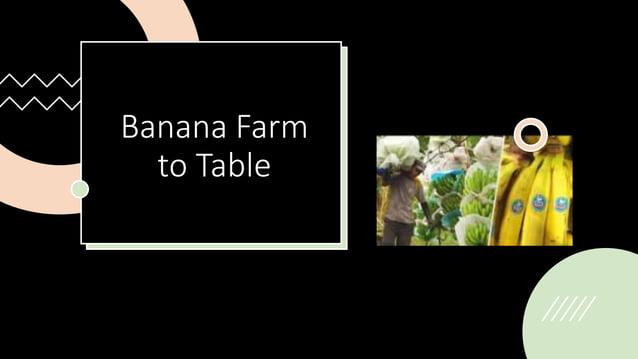 Banana supply chain analysis of banana and mango. | PPTX | Agriculture ...
