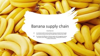 Banana supply chain analysis of banana and mango. | PPTX