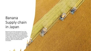 Banana supply chain analysis of banana and mango. | PPTX