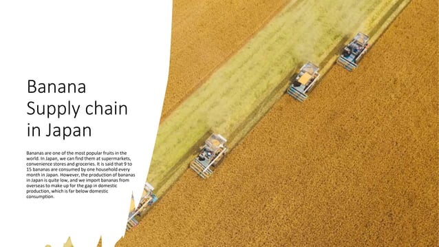 Banana supply chain analysis of banana and mango. | PPTX | Agriculture ...