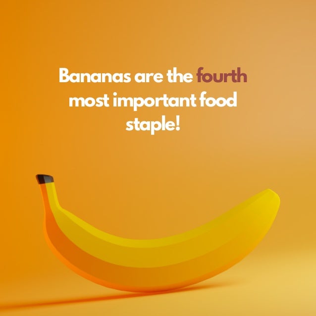 Traceability in the Banana Supply Chain | PDF