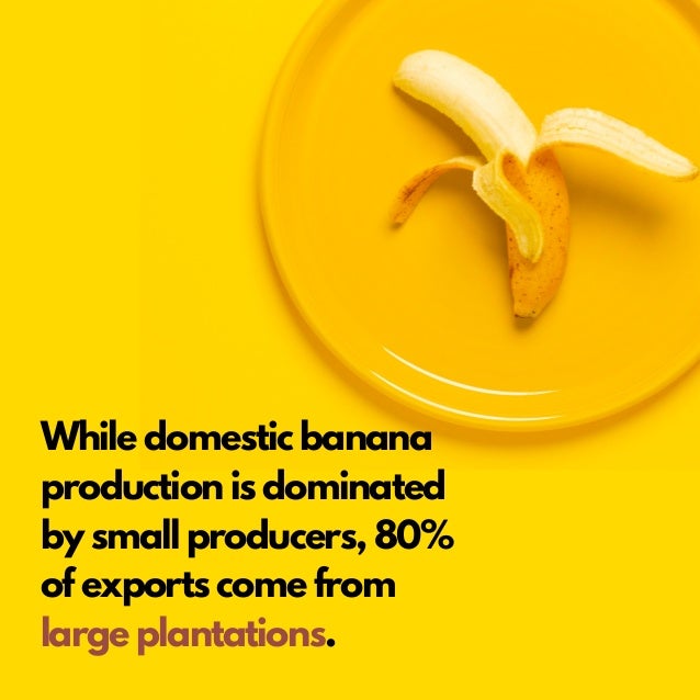 Traceability in the Banana Supply Chain | PDF