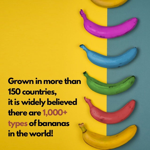 Traceability in the Banana Supply Chain | PDF