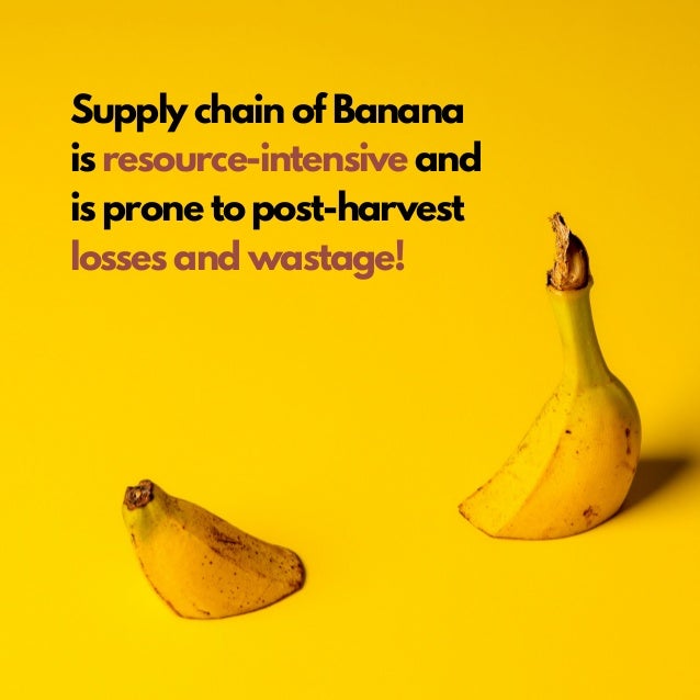 Traceability in the Banana Supply Chain | PDF