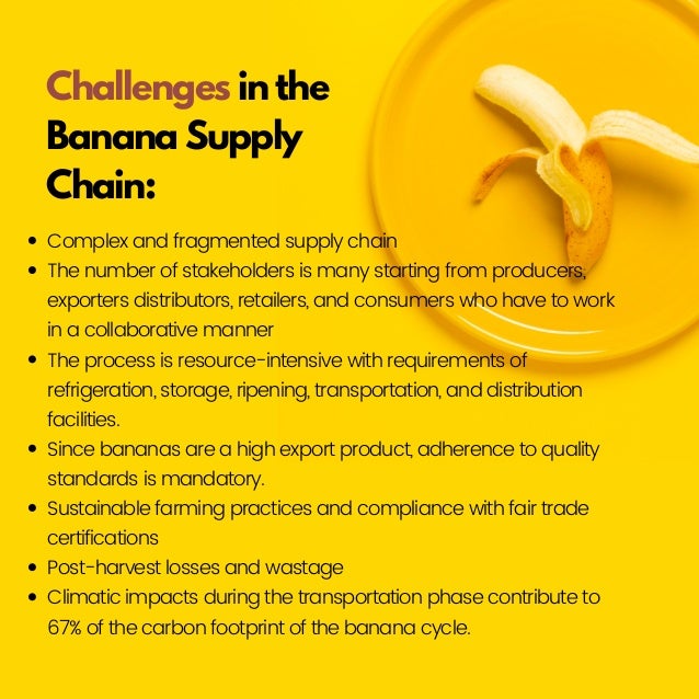 Traceability in the Banana Supply Chain | PDF
