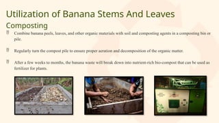 Banana Waste and by-product utilization technology.pptx
