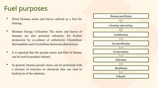 Banana Waste and by-product utilization technology.pptx