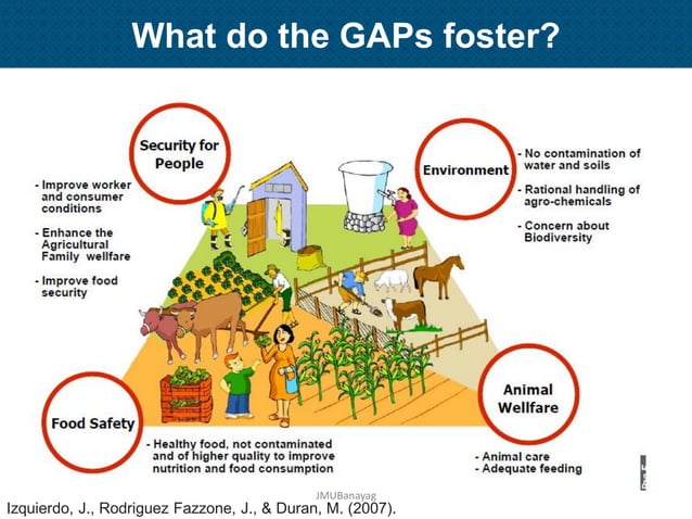 Good Agricultural Practices (GAP) | PDF | Agriculture | Industries