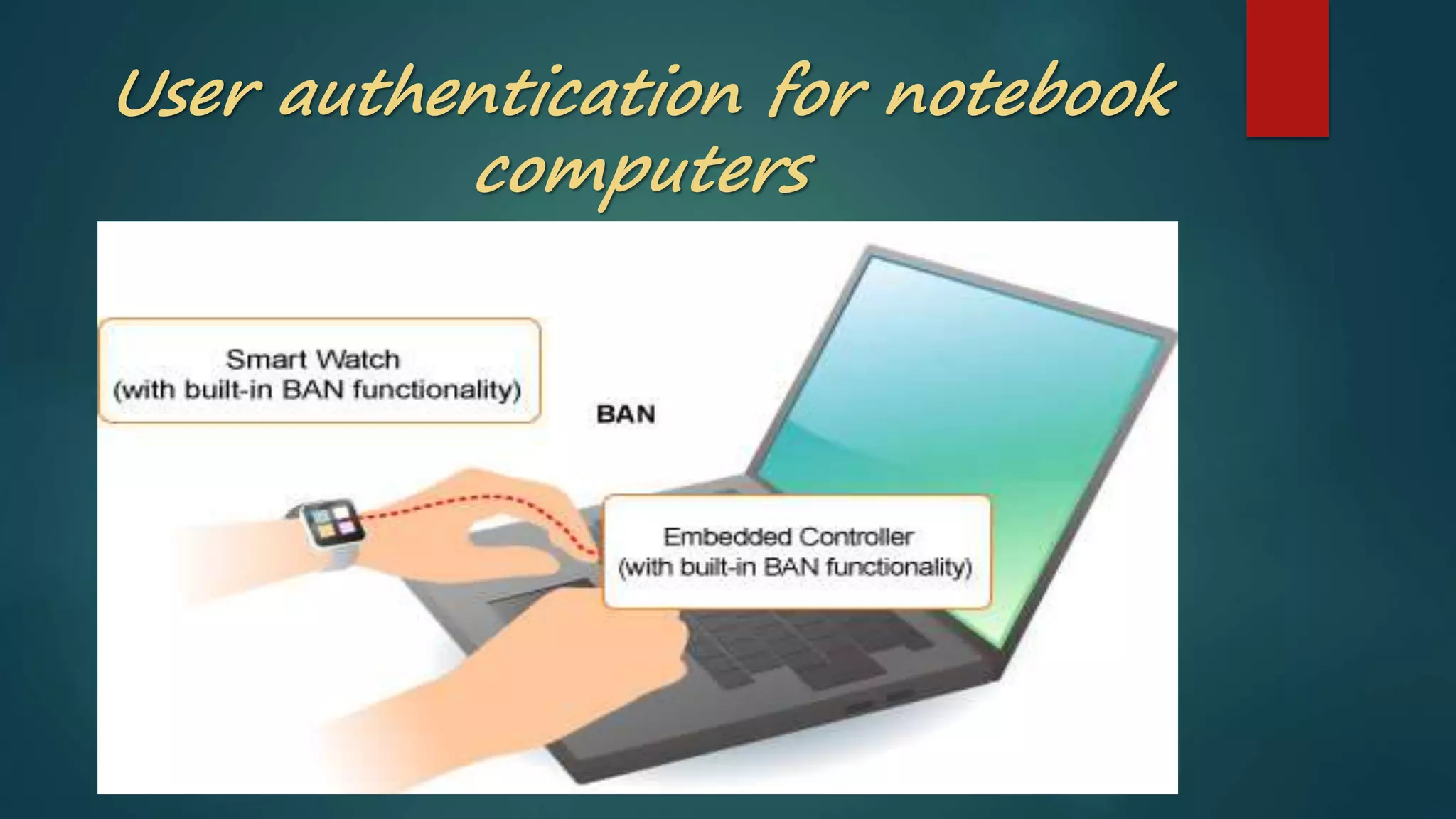 Body Area Networks (BANs) - PPT (By Study PPT) | PPT