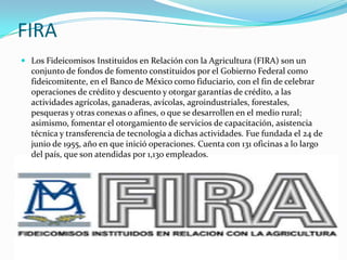 Banca de desarrollo (expocision) | PPTX