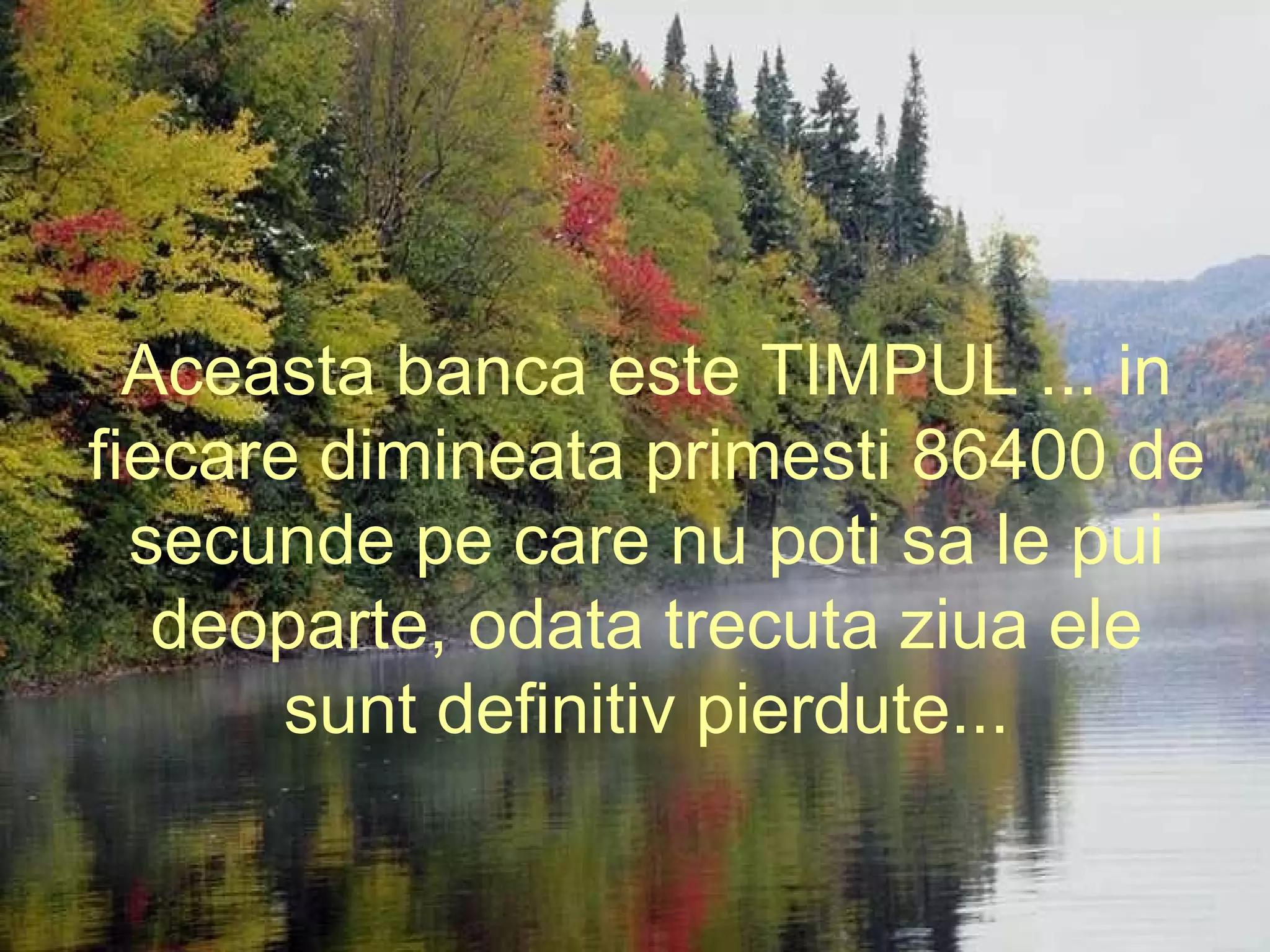 Banca Timpului | PPS