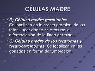 CÉLULAS MADRE DE CORDÓN UMBILICAL | PPT