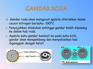 Sains Activity | PPTX