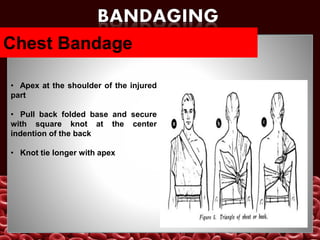 bandage.ppt