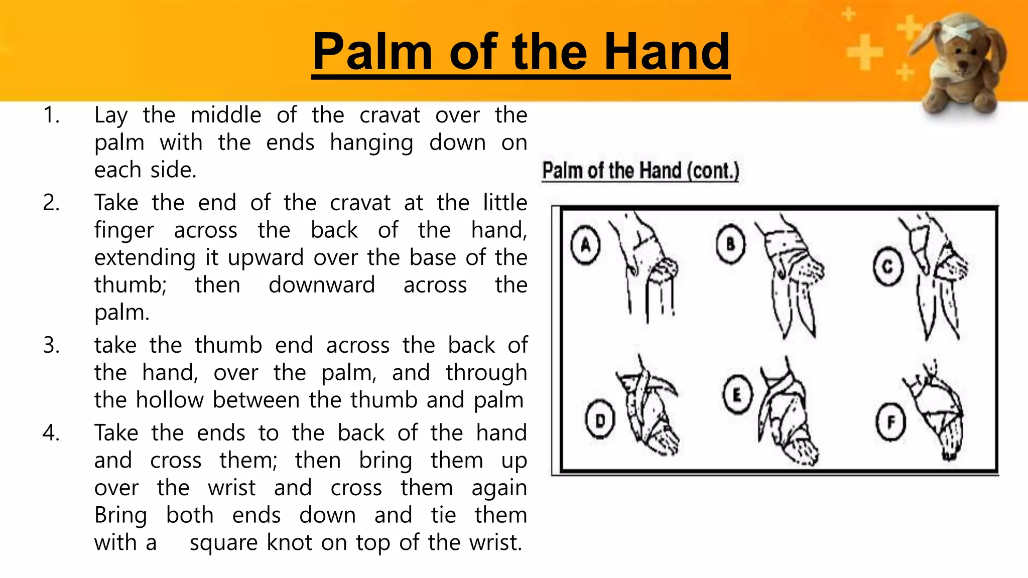 BANDAGING: TRIANGULAR BANDAGING AND CRAVAT, TYPES OF KNOTS | PPTX