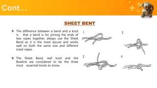 BANDAGING: TRIANGULAR BANDAGING AND CRAVAT, TYPES OF KNOTS | PPTX