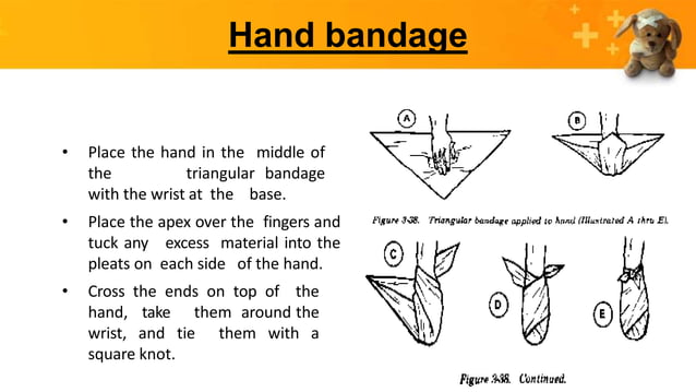 BANDAGING: TRIANGULAR BANDAGING AND CRAVAT, TYPES OF KNOTS